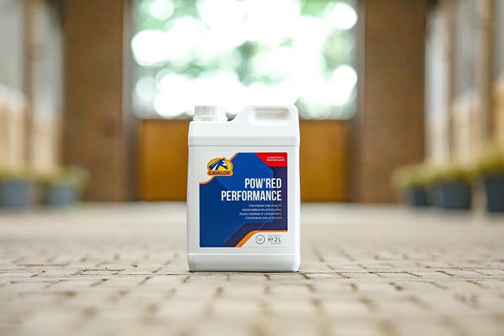 Pow’Red Performance – NPNUNN