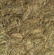 Meadow Hay Conventional Bales (21 Bales Per Pack) – NPNUNN